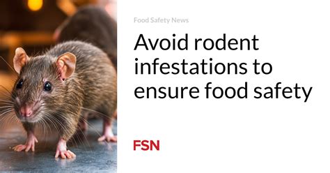 Avoid Rodent Infestations To Ensure Food Safety Food Safety News