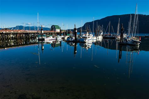 마리나 앳 코 위 찬 베이 온 밴쿠버 아일랜드 브리티시컬럼비아 캐나다 만에 대한 스톡 사진 및 기타 이미지 만 덩컨 브리티시 컬럼비아 0명 Istock