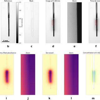 Illustration Of The Image Processing Workflow A Full View B Download Scientific Diagram