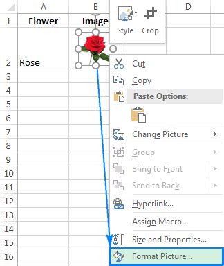 How To Insert An Image Into Excel Cell Lasopababe