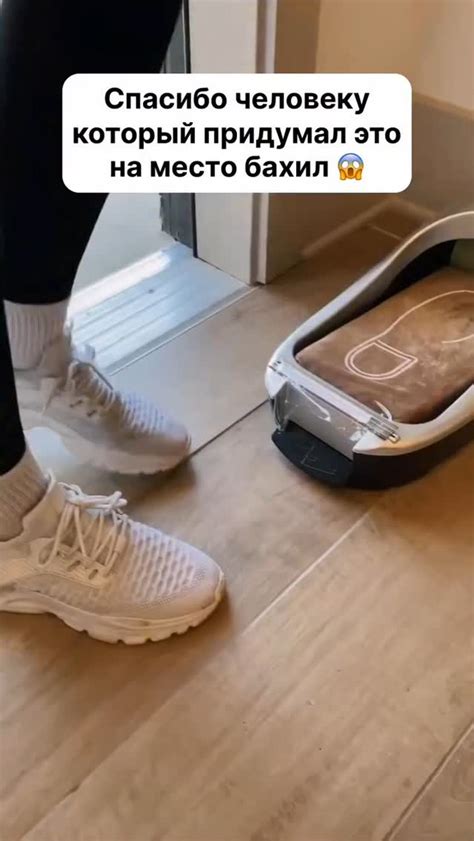 Двери к лучшему дизайну открываются только с нами 10 дизайнерских решений во двор 🏠 Instagram