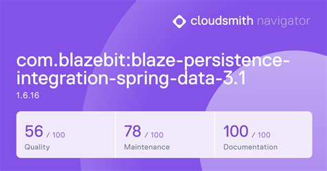 Comblazebitblaze Persistence Integration Spring Data 31 1616 Maven Package Quality