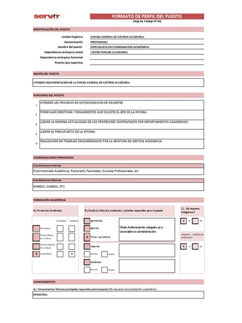 Ejemplo Plantilla Perfil Cargo Pdf Licenciatura