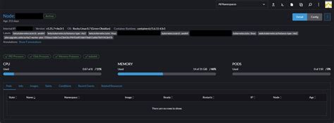Bug Node Pods List Is Always Empty · Issue 8725 · Rancherdashboard