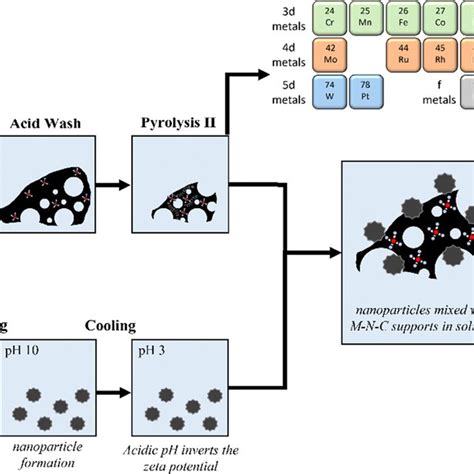 Synthesis Of The Ptmnc Samples The Sacrificial Support Method Top