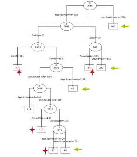 regression tree diagram for 50 trees at three times 1996 2001 2009