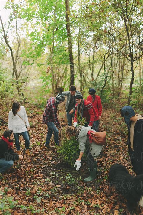Group Of Friends Planting A Tree By Stocksy Contributor Mattia Stocksy
