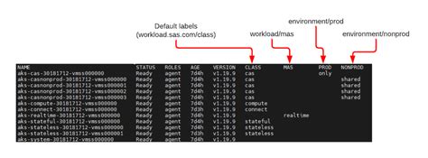 Creating Custom Sas Viya Topologies Realizing The Workload Placement Plan