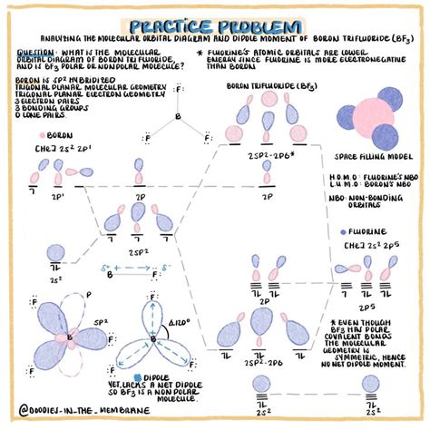 Orbital Diagram For Boron 8 5 Molecular Orbital Theory Chemistry