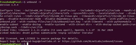 Set Up Unbound DNS Resolver On Ubuntu Server LinuxBabe