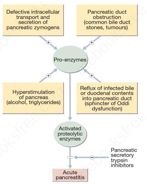 Medlearn Easy Pathophysiology Of Acute Pancreatitis