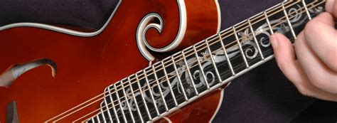 Mandolin String Notes Mastering The Basics For Beginners Teds List