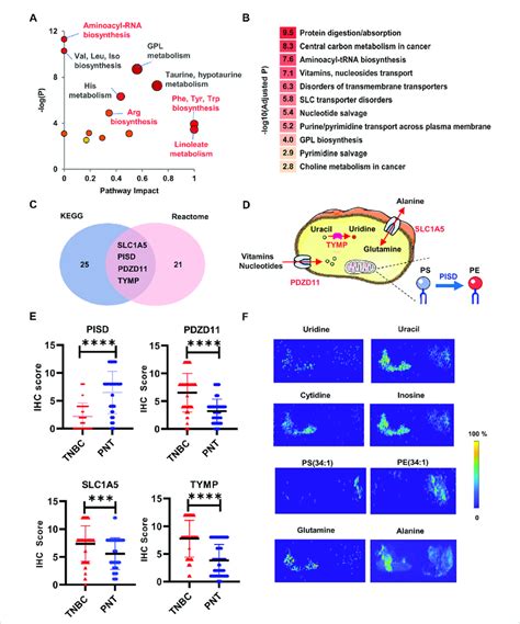 Bioinformatic Analysis And Expression Validation For The Dysregulated
