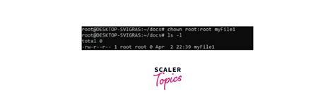 File Permissions In Linux Scaler Topics