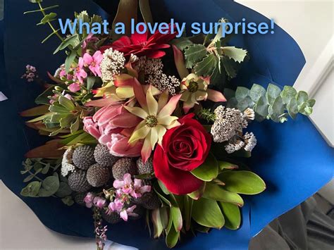 Tracy Morison On Linkedin Academickindess Care Celebrateyourwins