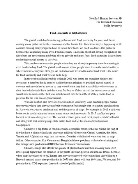 Postion Paper Global South Program Pdf