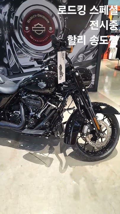 로드킹 스페셜 블랙 할리데이비슨 Youtube