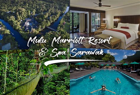 A Luxurious Forest Adventure Lies At Mulu Marriott Resort And Spa Kl Now