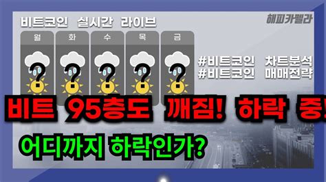 비트코인 실시간 비트 95층도 깨졌다 하락 중 어디까지 하락인가 319 저녁💎비트코인 비트코인실시간 이더리움 리플 Cryptocurrency 차트분석