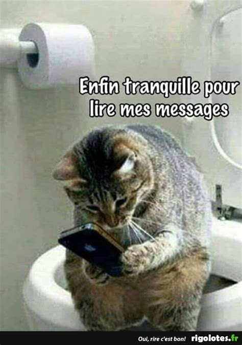Enfin Tranquille Pour Blagues Et Les Meilleures Images Drôles