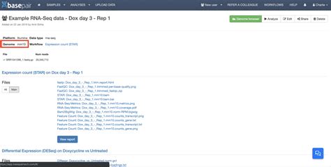 Error Id 4 No Mapped Reads Basepair Support