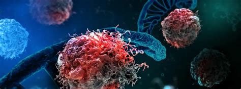 Parp聚腺苷二磷酸核糖聚合酶重组兔单克隆抗体 公司新闻 丁香通