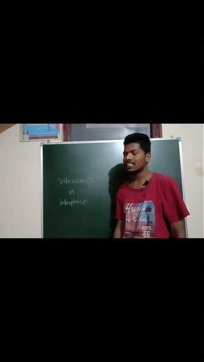 Interkinesis Vs Interphase Youtube