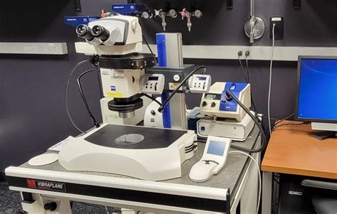 Zeiss Stereo Discovery Quantitative Light Microscopy Core Facility Ut Southwestern Dallas Texas