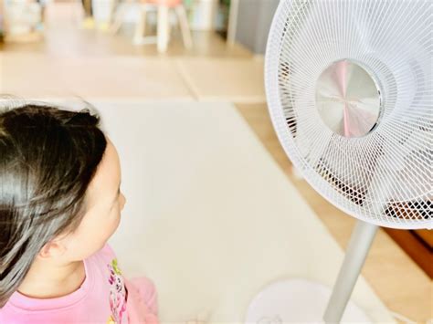 아기 선풍기 신생아 전용 무소음 선풍기 Bldc 순한 바람 네이버 블로그