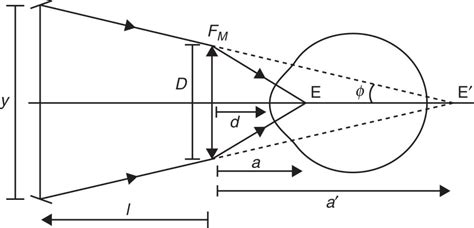 Relative Distance Magnification Decreasing The Viewing Distance Ento Key