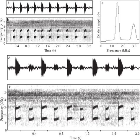 A Oscillogram B Spectrogram And C Amplitude Spectrum Of 10