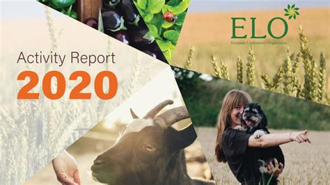 ELO Activity Report CONSOLE