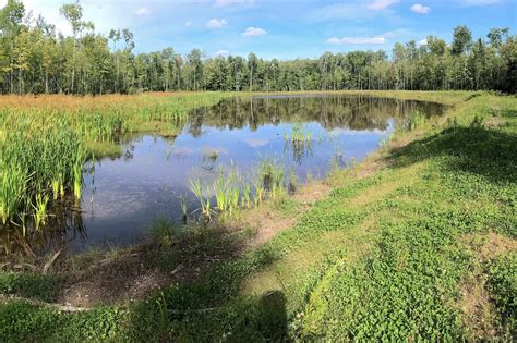 Amazing Feats Of Nature — Ducks Unlimited Canada