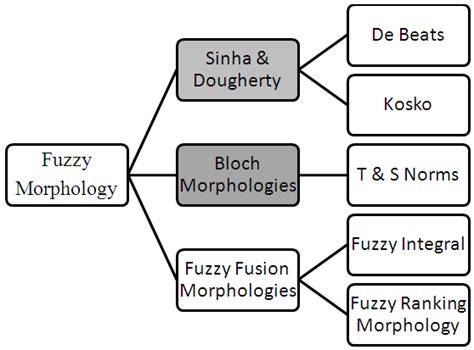 11 Tree Of Fuzzy Morphology Download Scientific Diagram
