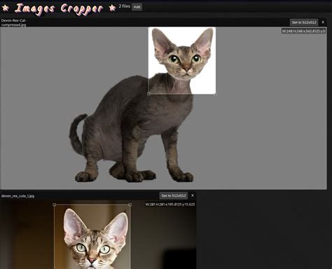 Github Blurymindbatch Images Cropper Images Cropper Tool To Batch Crop Images Without