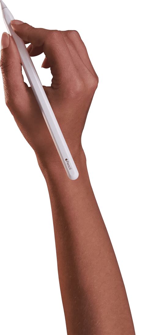 Content — Procreate Dreams Handbook