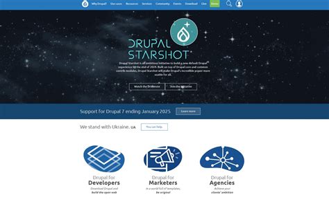 Headless Vs Traditional CMS Pros Cons For Web Designers Shack Design
