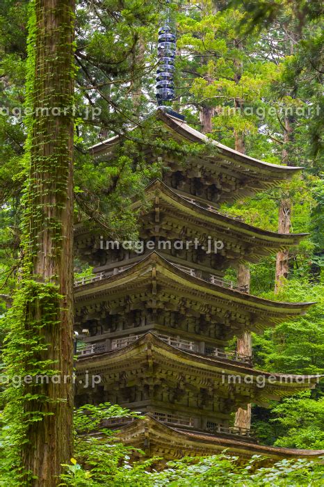 山形県羽黒山五重塔と石段参道の写真素材 204774553 イメージマート