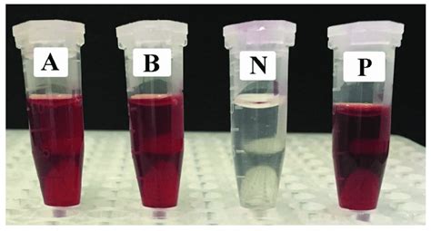 The Hemolytic Effect Of Euphorbia Peplus Ethanol Leaf Extract Epext Download Scientific