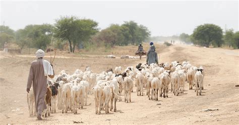 Three Desertification Examples