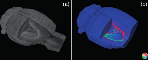 volume rendering with texture slicing with the help of maneuverable download scientific