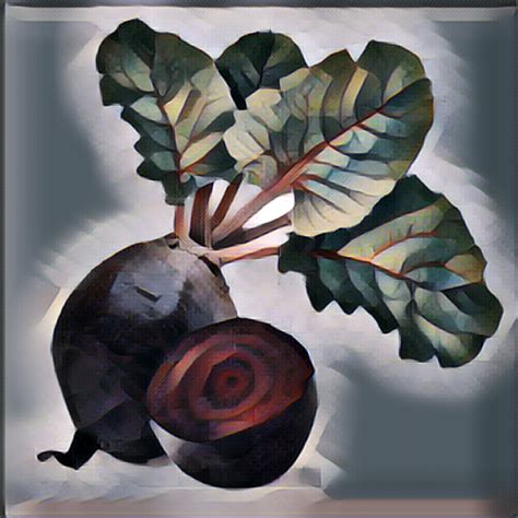 The Beetroot Projects Documentation — The Beetroot Project 090 Documentation