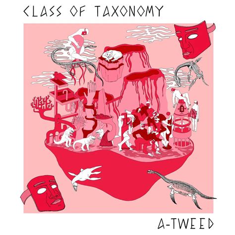 Class Of Taxonomy A Tweed Mp3 Buy Full Tracklist