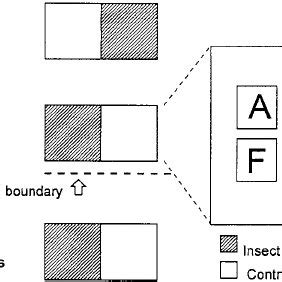 Diagram Of The Experimental Design Of One Transect In The Field Download Scientific Diagram