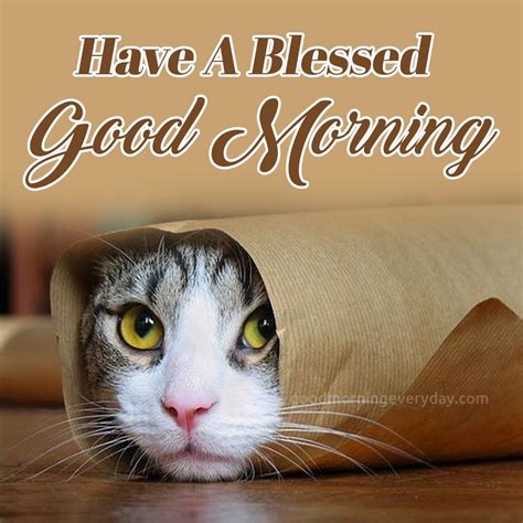 Good Morning Photos Funny 10 Good Morning Funny Images