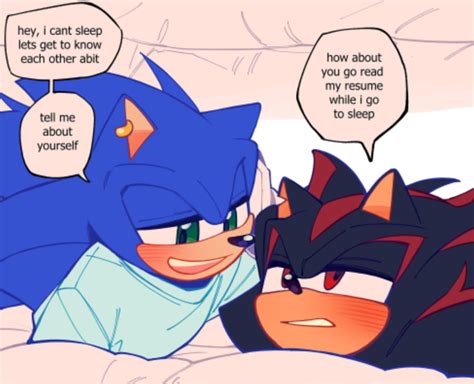 Youre My Bodyguard 💙 Sonic X Shadow [3] Wattpad