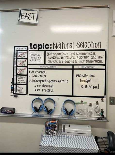 Best 13 Engineering Design Process For Middle School With Lesson Plans