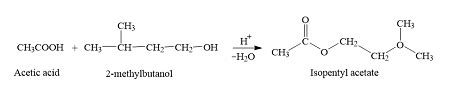 Describe The Procedure For Preparing Isopentyl Acetate Provide The