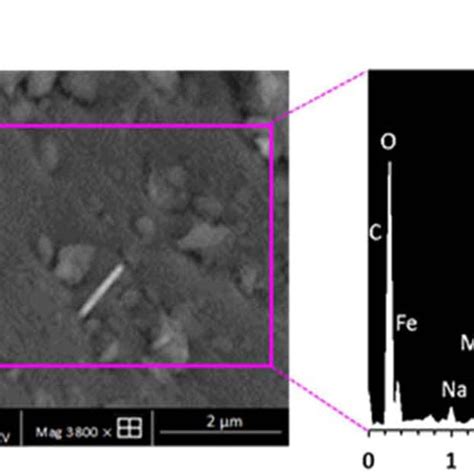 A Sem Micrographs And B Eds Spectra Of Raw Clay Download
