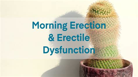 Morning Erections And Erectile Dysfunction The Hidden Link Youtube